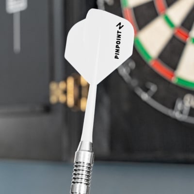 PINPOINT 90° LED Dartboard Surround | Net World Sports